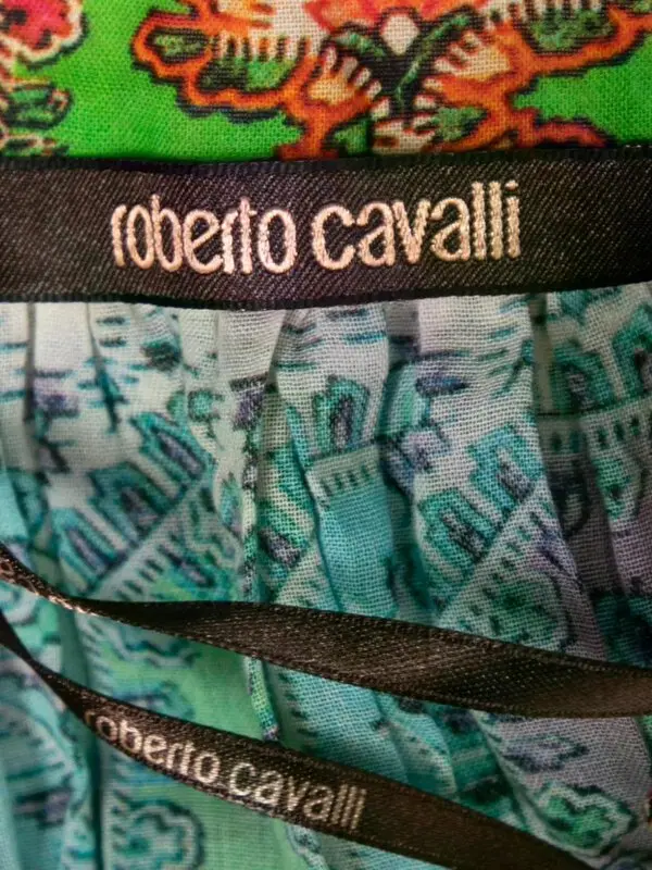 Roberto Cavalli Printed Pleated Skirt