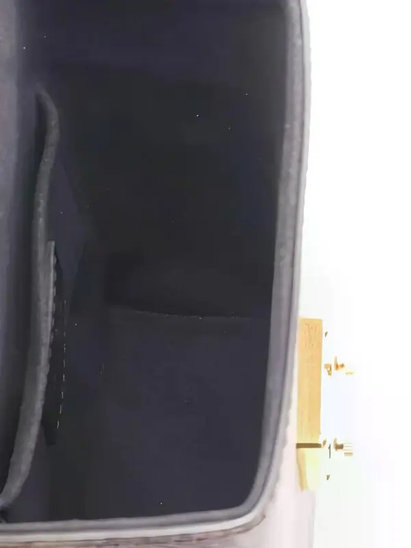 LOUIS VUITTON Camera Box Two-way Handbag