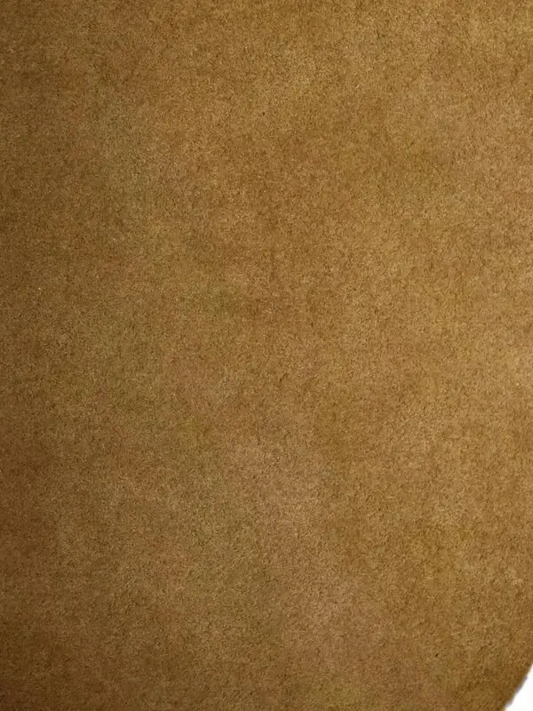 LOUIS VUITTON Zipped Monogram Leather Tote Bag