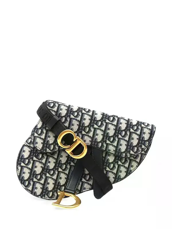 Dior Oblique Saddle Belt Bag - Blue