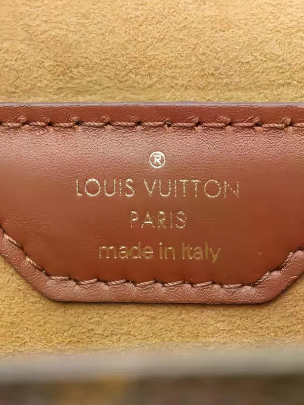 LOUIS VUITTON 2021 Butterfly Trunk Monogram Shoulder Bag