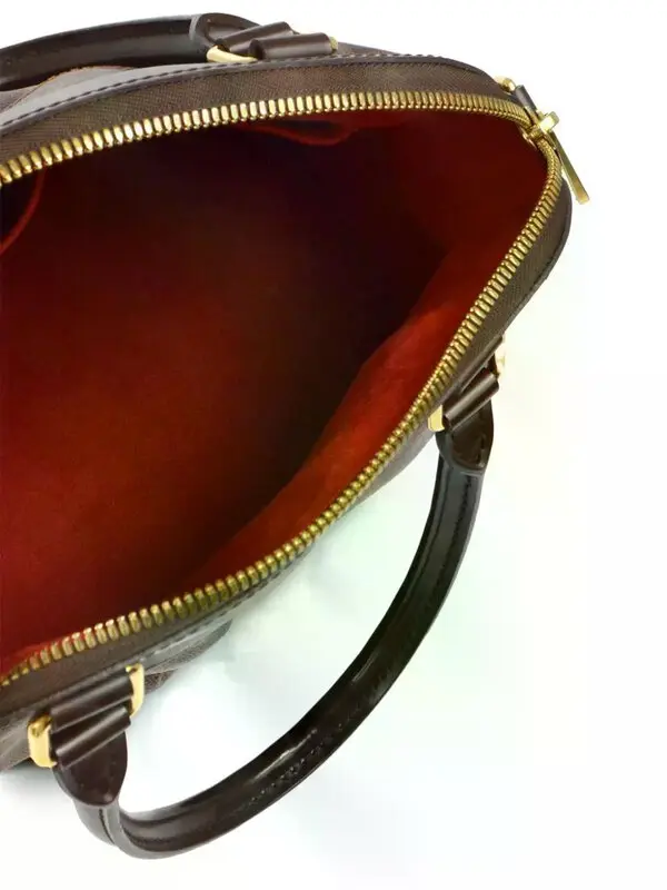 LOUIS VUITTON Damier Trevi Pm Two-way Bag - Brown