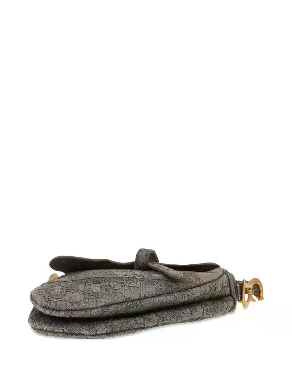 Dior Medium Saddle Oblique Handbag - Grey