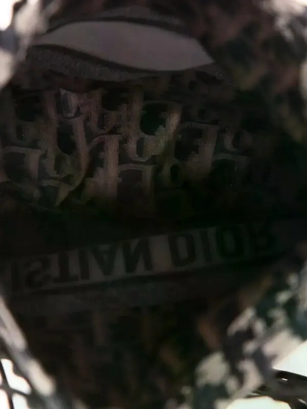 Dior Oblique Monogram Handbag