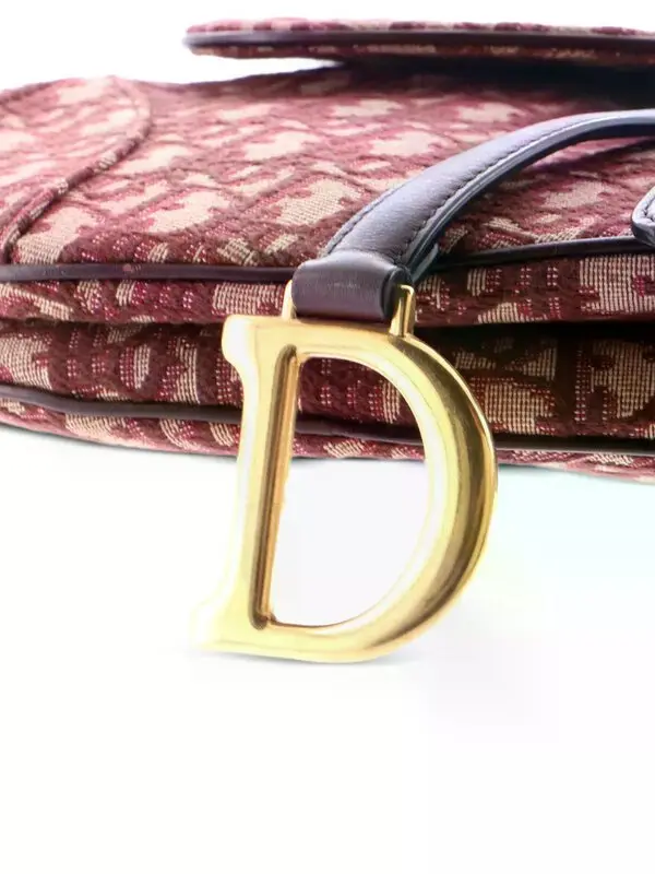 Dior Saddle Handbag Oblique Canvas