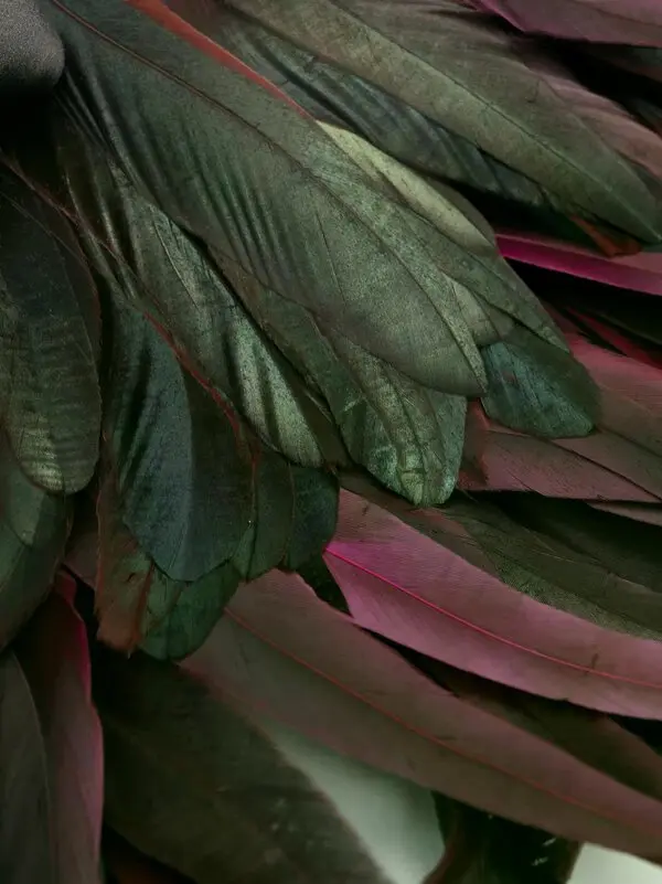 Saint Laurent 1970s Tie-front Feather Collar