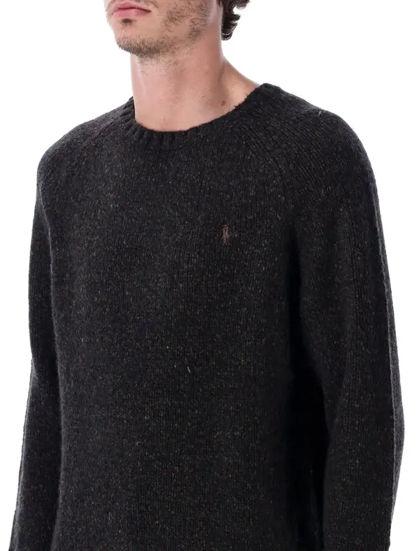 Polo Ralph Lauren Wool-blend Crewneck Sweater - Brown