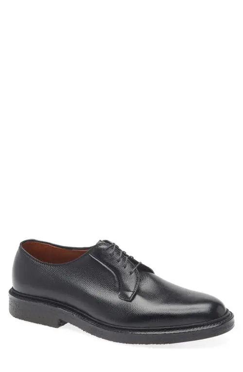 Alden All Weather Plain Toe Derby