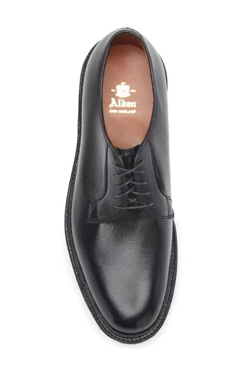 Alden All Weather Plain Toe Derby