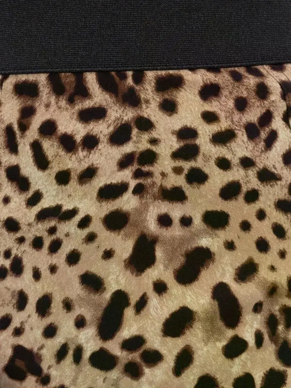 Dolce & Gabbana Animal-print Shorts