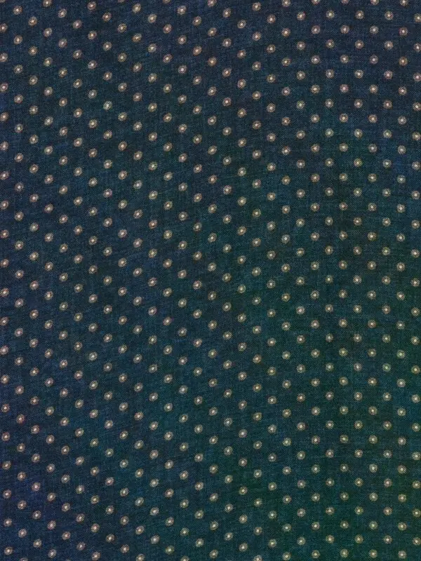 DELL'OGLIO Dotted Fringed Scarf