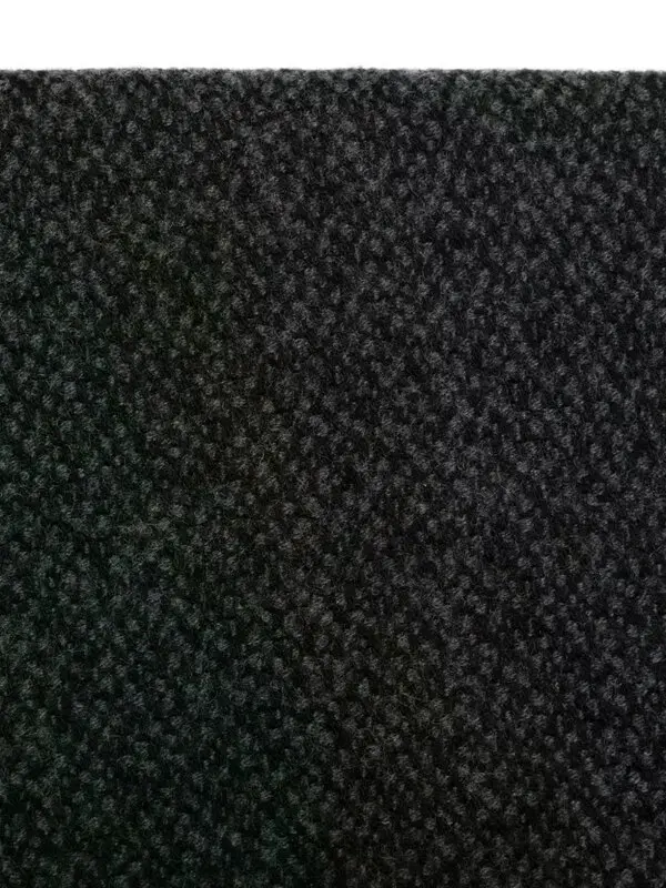 Canali Fringed Scarf