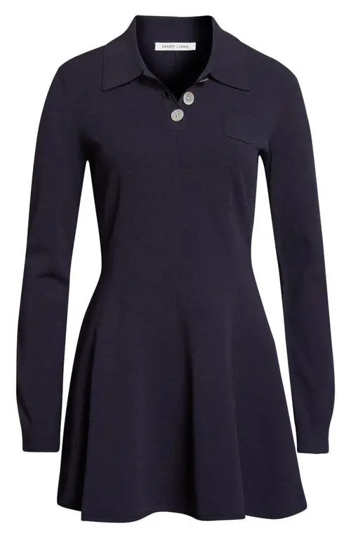 Sandy Liang Chupa Long Sleeve Polo Sweater Dress