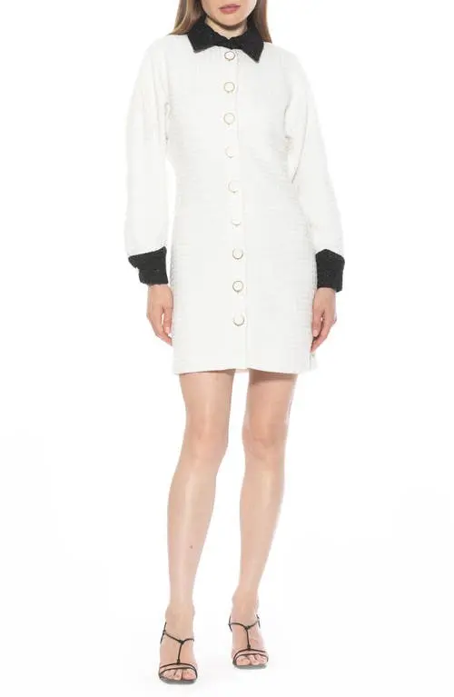 ALEXIA ADMOR Textured Mini Shirtdress With Embellished Collar And Cuffs - Ivory