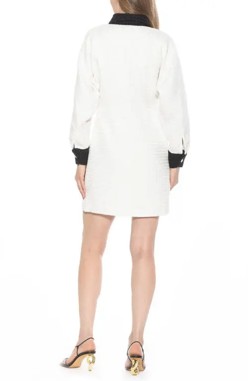 ALEXIA ADMOR Textured Mini Shirtdress With Embellished Collar And Cuffs - Ivory