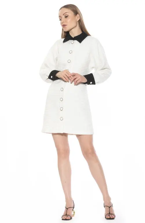 ALEXIA ADMOR Textured Mini Shirtdress With Embellished Collar And Cuffs - Ivory