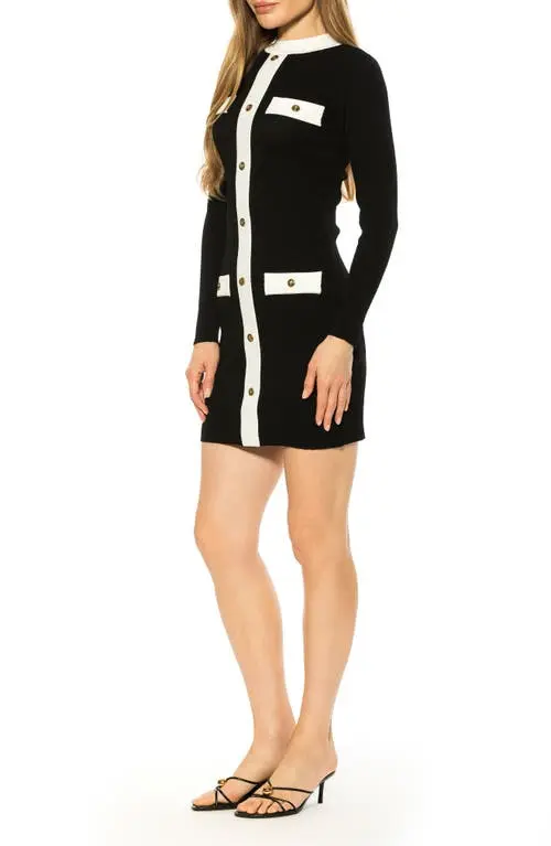 ALEXIA ADMOR Juniper Knit Mini Dress - Black