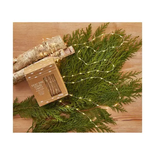 TAG Fairy Rope Led String Lights Indoor Decorative Lighting