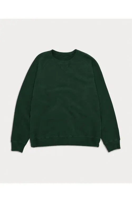 FORTELA Raglan Sleeve Crewneck Sweatshirt - Bottle