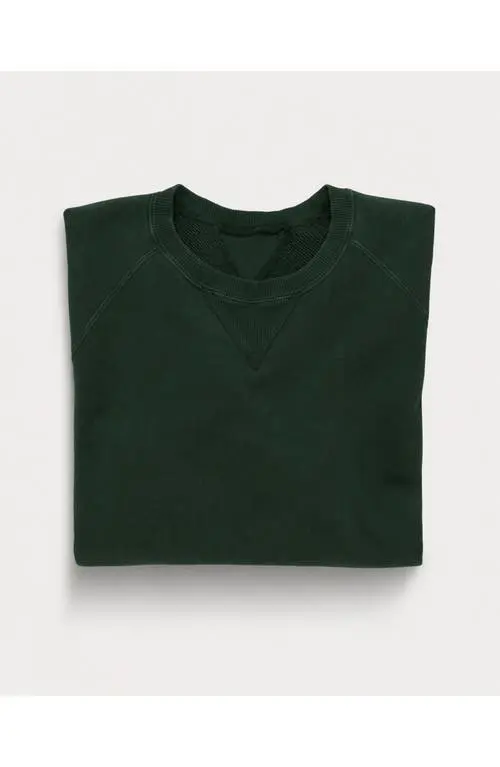 FORTELA Raglan Sleeve Crewneck Sweatshirt - Bottle