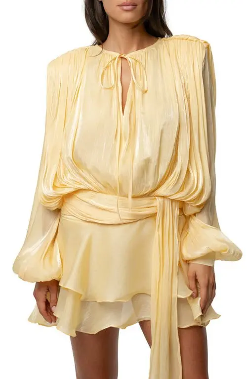 JLUXLABEL Long Sleeve Mini Dress