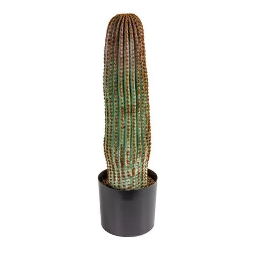 STORIED HOME Round Faux Vatricania Cactus - Green