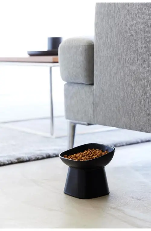 YAMAZAKI Tilted Pet Food Bowl - Black