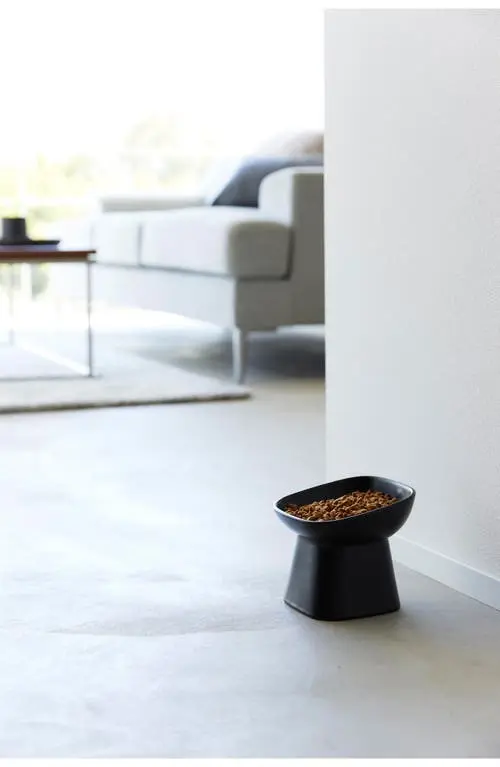 YAMAZAKI Tilted Pet Food Bowl - Black