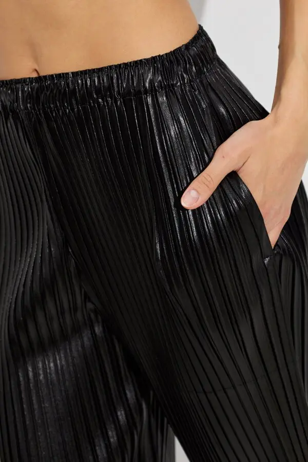 Issey Miyake Pleated Trousers