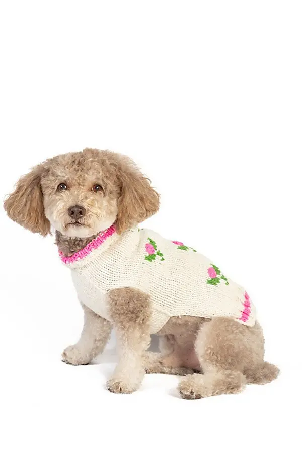 CHILLY DOG Rose Bud Sweater