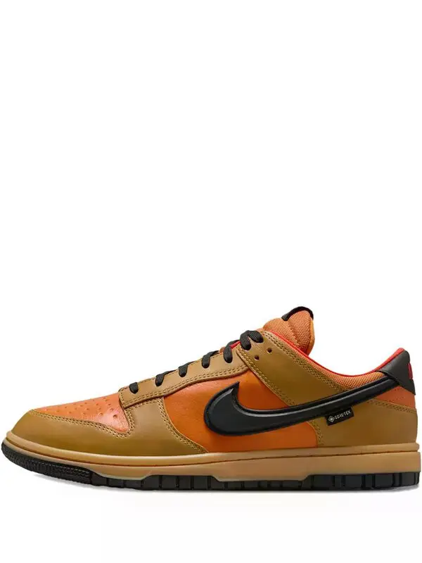 Nike Gore-tex Dunk Low-top Sneakers