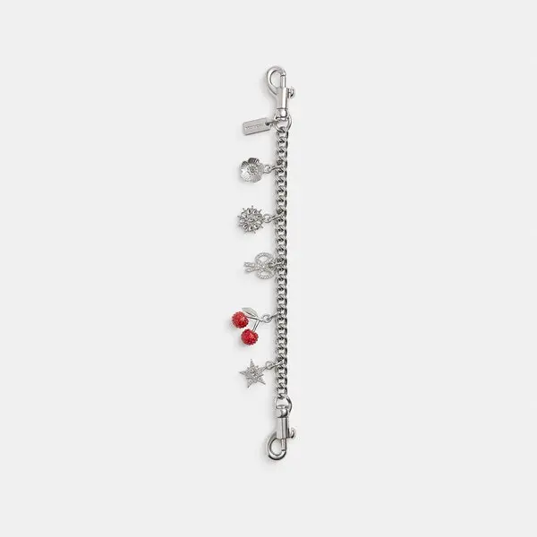 COACH Crystal Motif Chain Bag Charm - Silver/multi