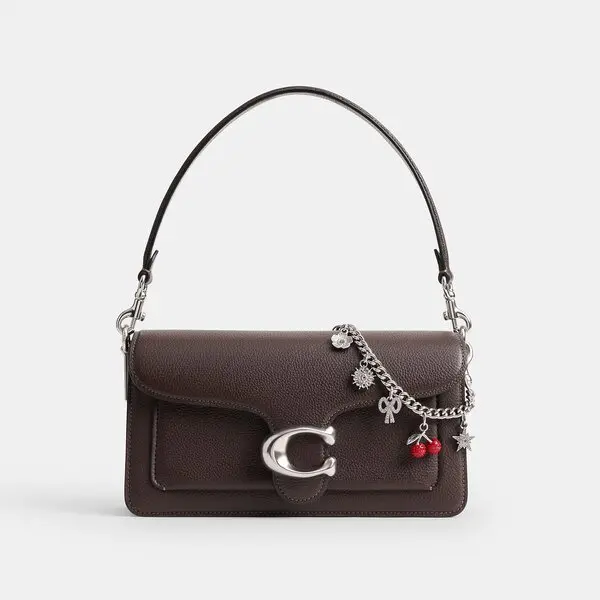 COACH Crystal Motif Chain Bag Charm - Silver/multi