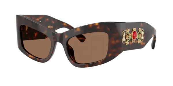 Dolce & Gabbana Sunglasses - Dark Brown
