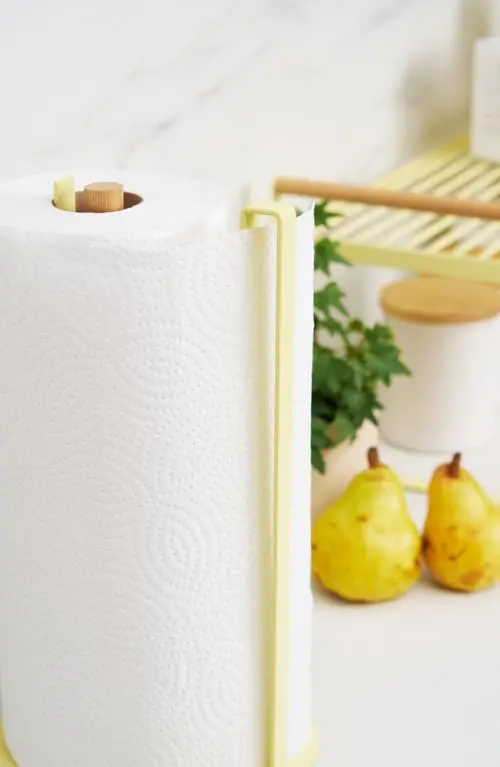 YAMAZAKI Paper Towel Holder