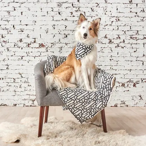 CAROL & FRANK Naya Pet Quilt