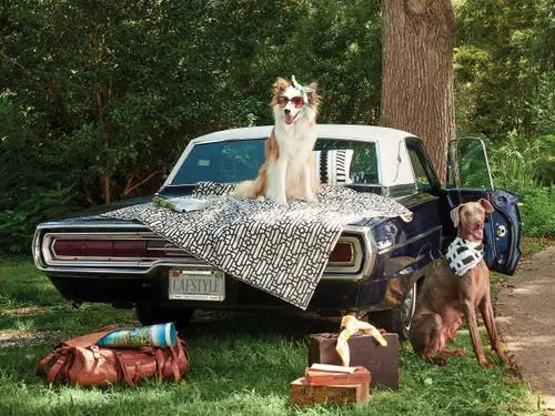 CAROL & FRANK Naya Pet Quilt