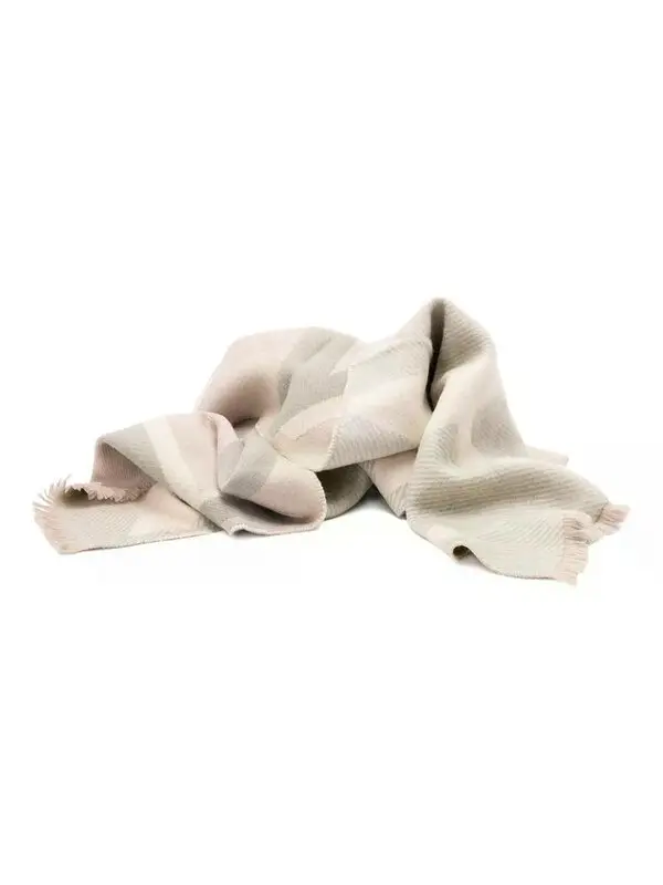 Loewe Fringed Scarf - Neutrals