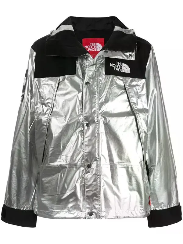 Supreme X The North Face Metallic Mountain Parka