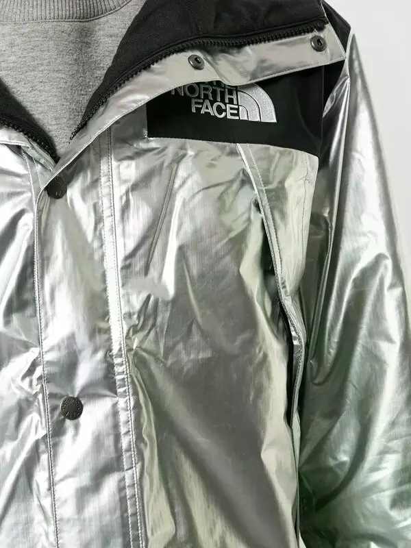 Supreme X The North Face Metallic Mountain Parka