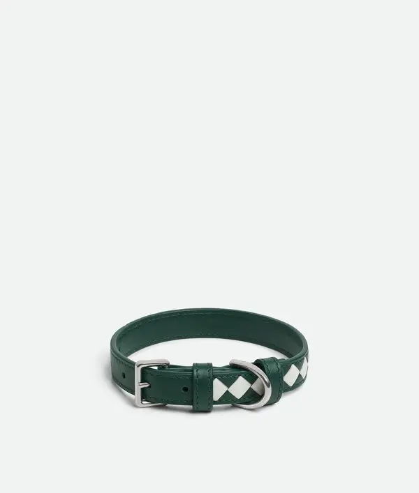 Bottega Veneta Small Intrecciato Dog Collar - Emerald/white