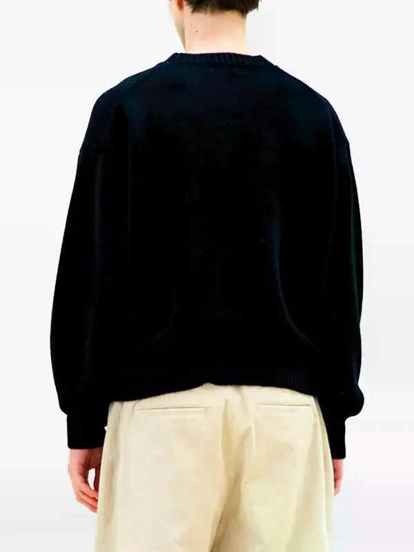 COOR Crewneck Wool Sweater