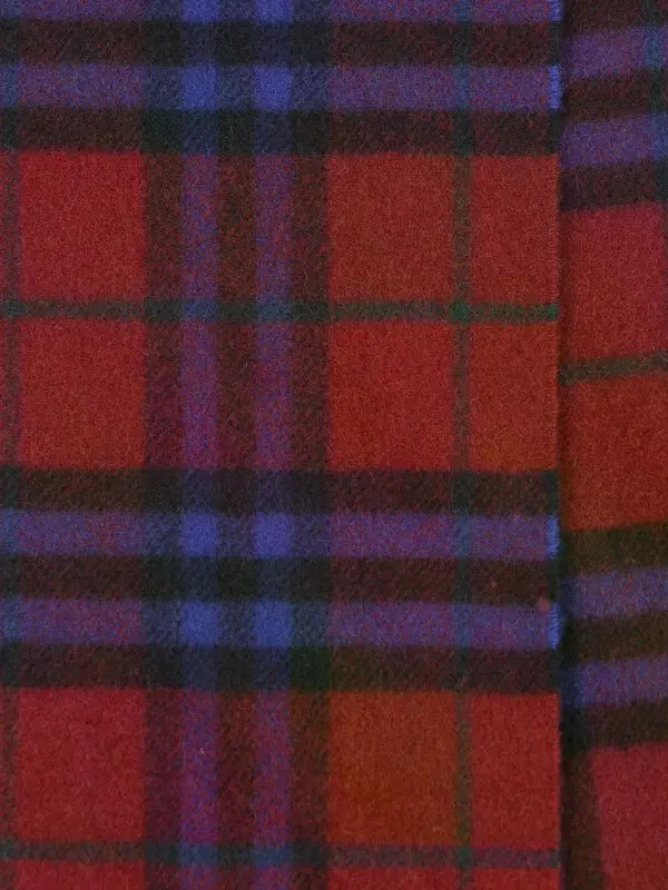 Burberry Checked Fringed Scarf