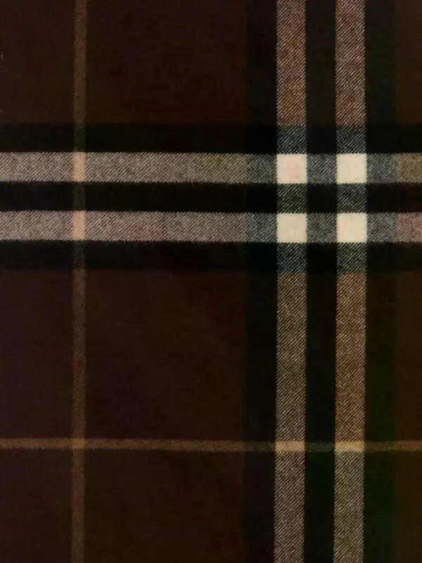 Burberry Checked-pattern Fringed-hem Scarf