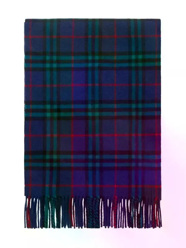 Burberry Checked Fringed Scarf - Blue