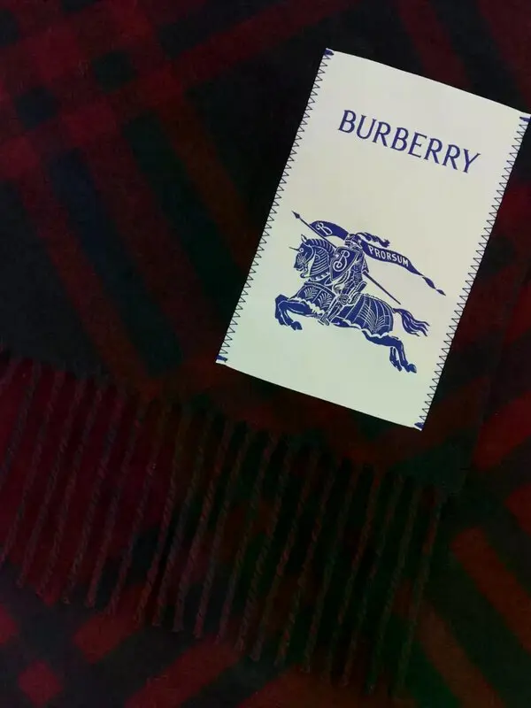 Burberry Checked Cashmere Scarf