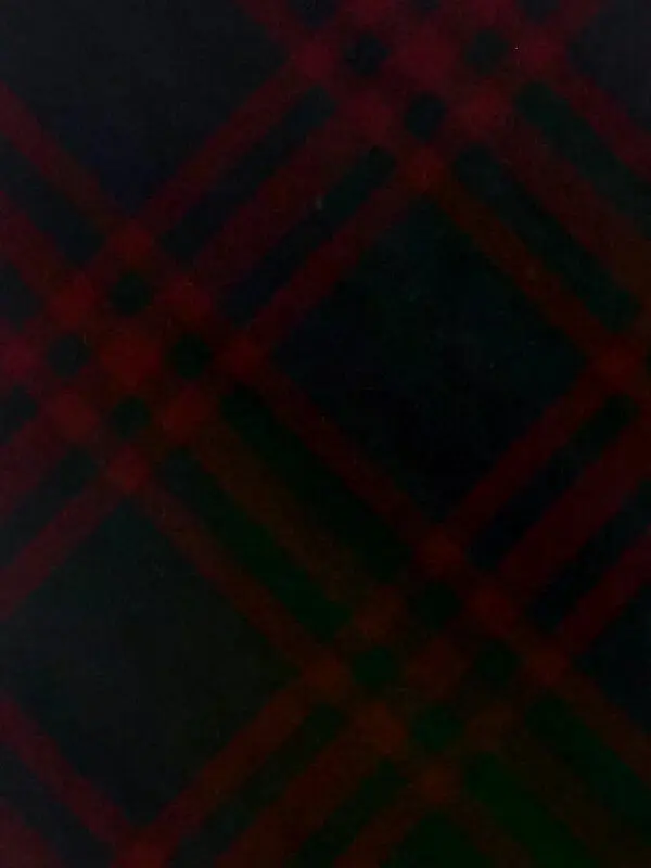 Burberry Checked Cashmere Scarf