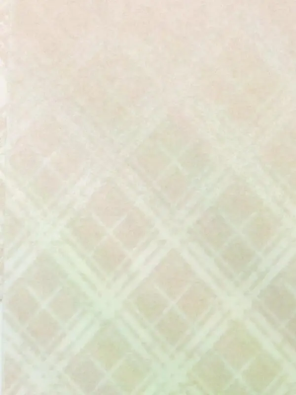 Eleventy Chequered Fringed Scarf