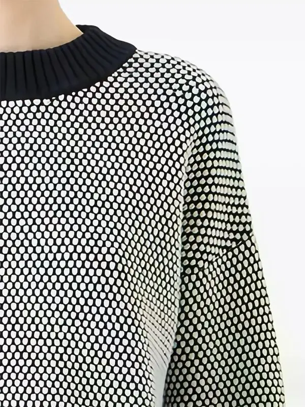 Akris Textured Knit Crew-neck Sweatshirt