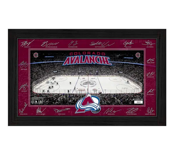 HIGHLAND MINT Nhl 2025 Signature Rink - One-color